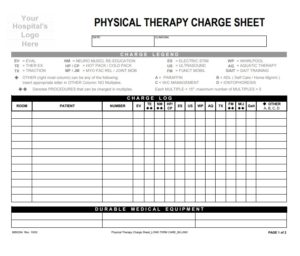 Physical Therapy Charge Sheet Template | Free Sheet Templates